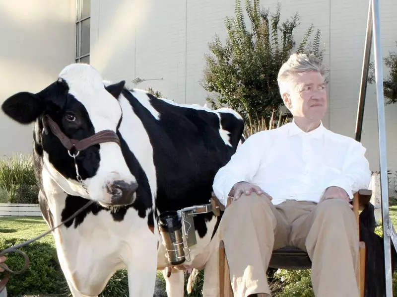 Quando David Lynch usou uma vaca para promover Laura Dern