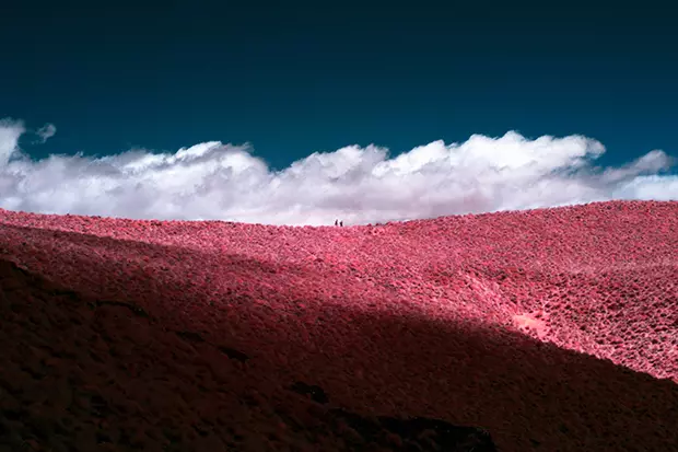 Paul Hoi နှင့် Polaroid မှတဆင့် နယူးဇီလန်၏ တောင်ကျွန်းကို စူးစမ်းပါ။ 11534_5