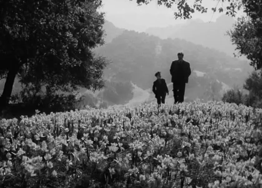 約翰福特 80 年的電影《我的山谷有多綠》