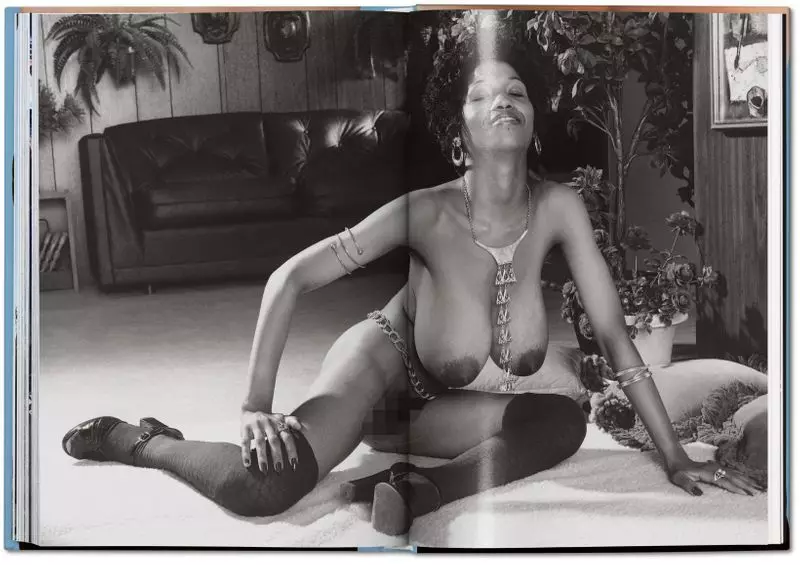 Велика књига груди: Џепни водич за културно ослобађање еротске фотографије