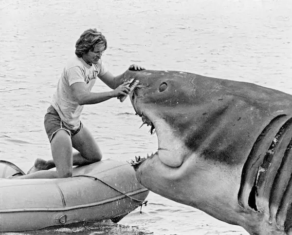 នៅពីក្រោយឆាកនៃស្នាដៃនិពន្ធរបស់ Steven Spielberg 'Jaws' 6169_11