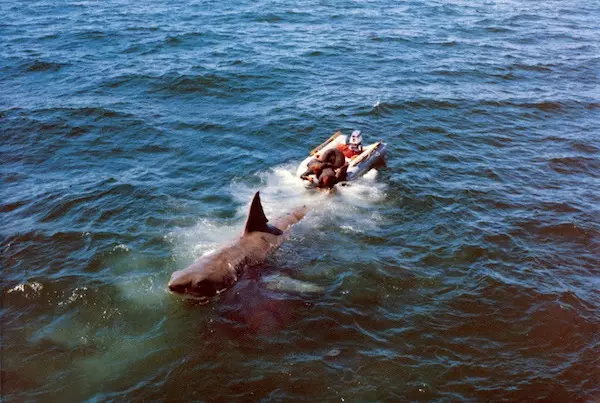 Detrás de cámaras de la obra maestra de Steven Spielberg 'Tiburón' 6169_12
