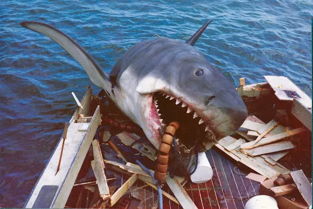 នៅពីក្រោយឆាកនៃស្នាដៃនិពន្ធរបស់ Steven Spielberg 'Jaws' 6169_13