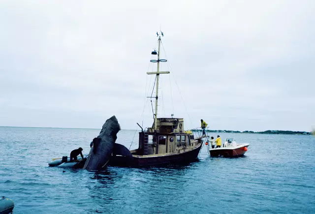 Detrás de cámaras de la obra maestra de Steven Spielberg 'Tiburón' 6169_18