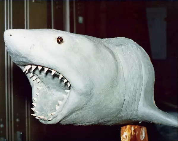 នៅពីក្រោយឆាកនៃស្នាដៃនិពន្ធរបស់ Steven Spielberg 'Jaws' 6169_4