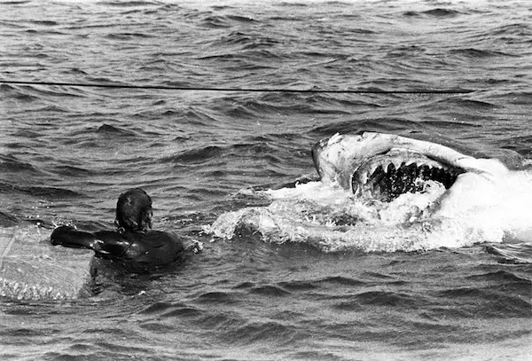 Detrás de cámaras de la obra maestra de Steven Spielberg 'Tiburón' 6169_9