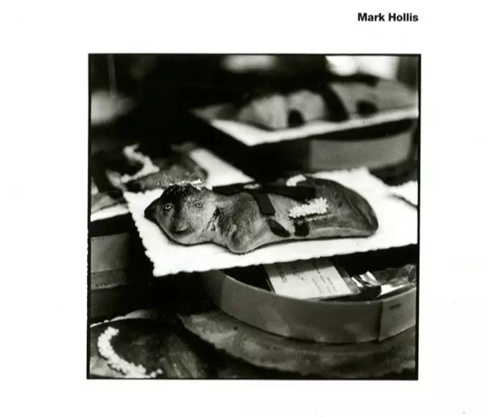 Talk Talk-forsanger Mark Hollis får ny vinylgenudgivelse