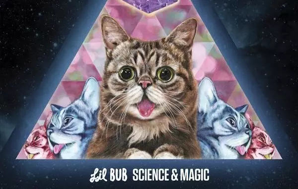 Lil BUB, kucing paling misuwur ing internet, ngrilis album lan Andrew W.K. pengin sampeyan krungu