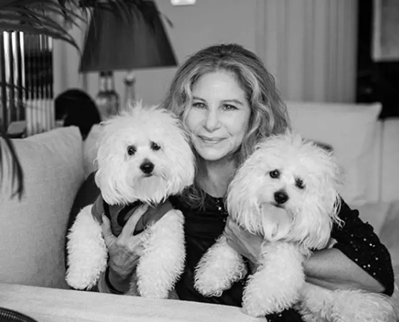 Barbra Streisand je dvakrat uspešno klonirala svojega psa